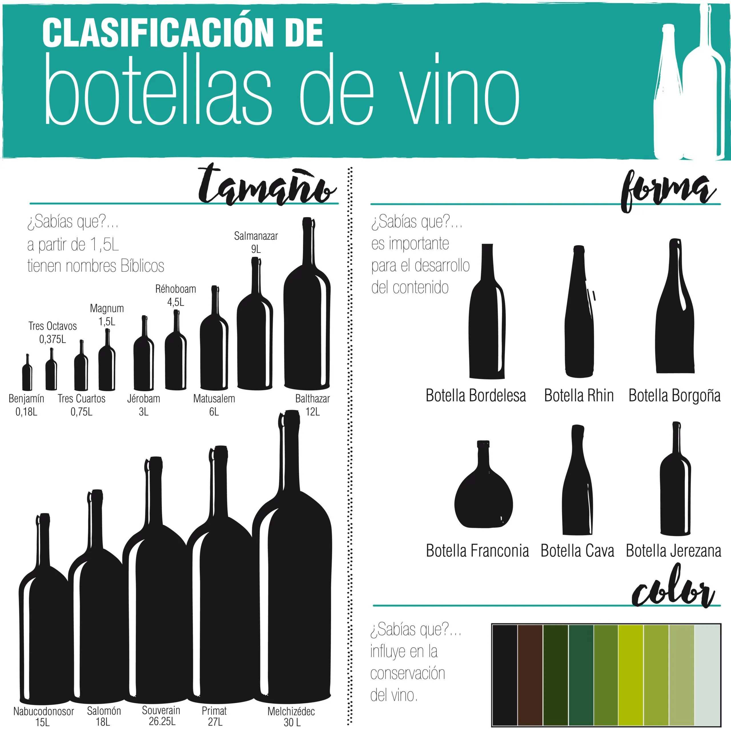 Los tamaños de las botellas de vino | ENBOTELLA